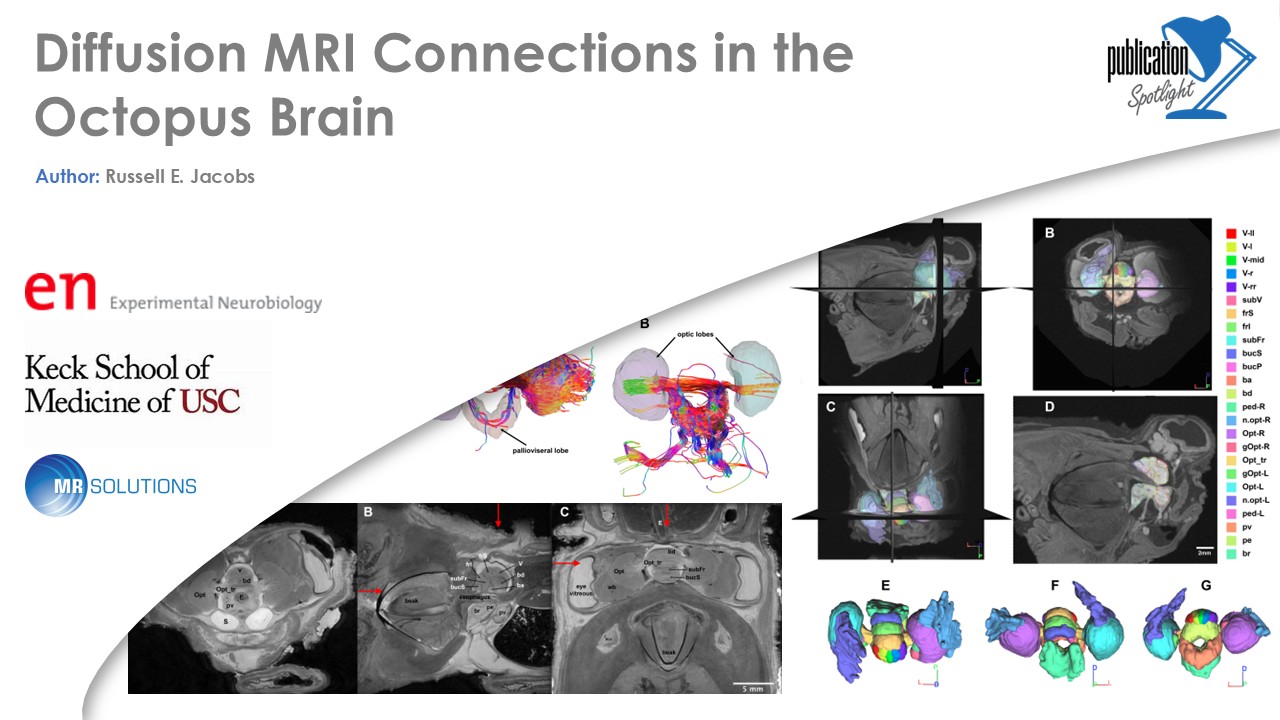 Diffusion MRI Connections in the Octopus Brain (USC) - MR Solutions