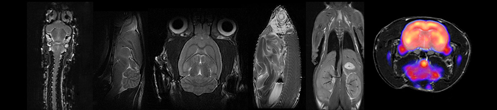 MRSolutions-applications_03 - MR Solutions